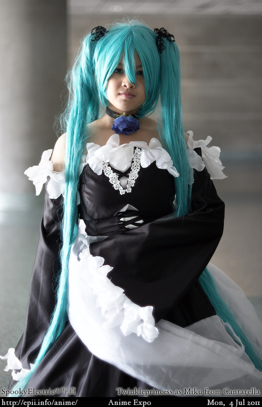 Cantarella Miku 0767 Eπi Info